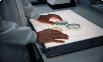 News and events - The Integrated Bioscience and Built Environment ...